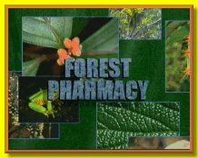 PASSPORT TO KNOWLEDGE: PASSPORT TO THE RAINFOREST